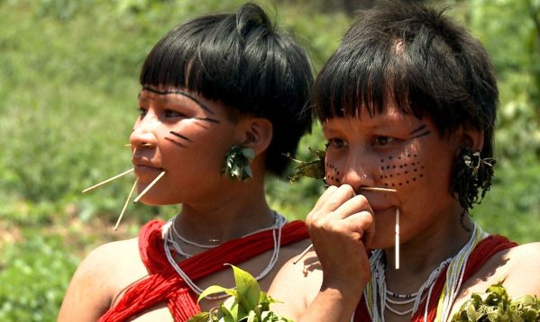 Amazonas e Manaus têm a maior população indígena do país - Portal Único